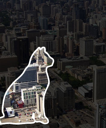 Hijinks | Discover Life Experiences & Local Activities