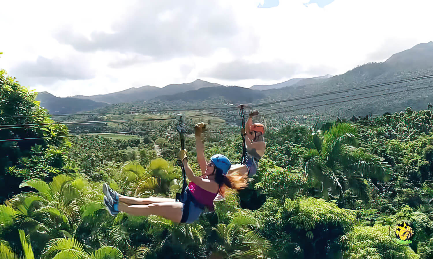 Rainforest Zipline Park [Book Online] - Hijinks