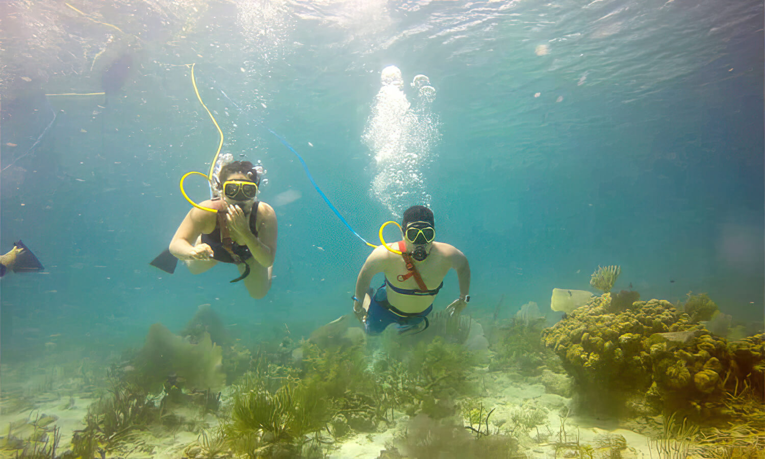 Hijinks | Discover Life Experiences & Local Activities